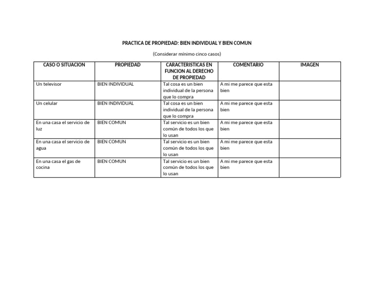 Practica de Propiedad Bien Individual y Bien Comun | PDF
