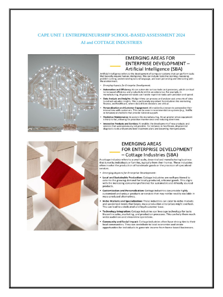 Cape Unit 1 Entrep Sba Guidelines | PDF | Entrepreneurship | Mindset