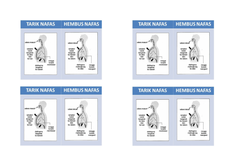 Pergerakan Dada Tarik Dan Hembus Nafas | PDF