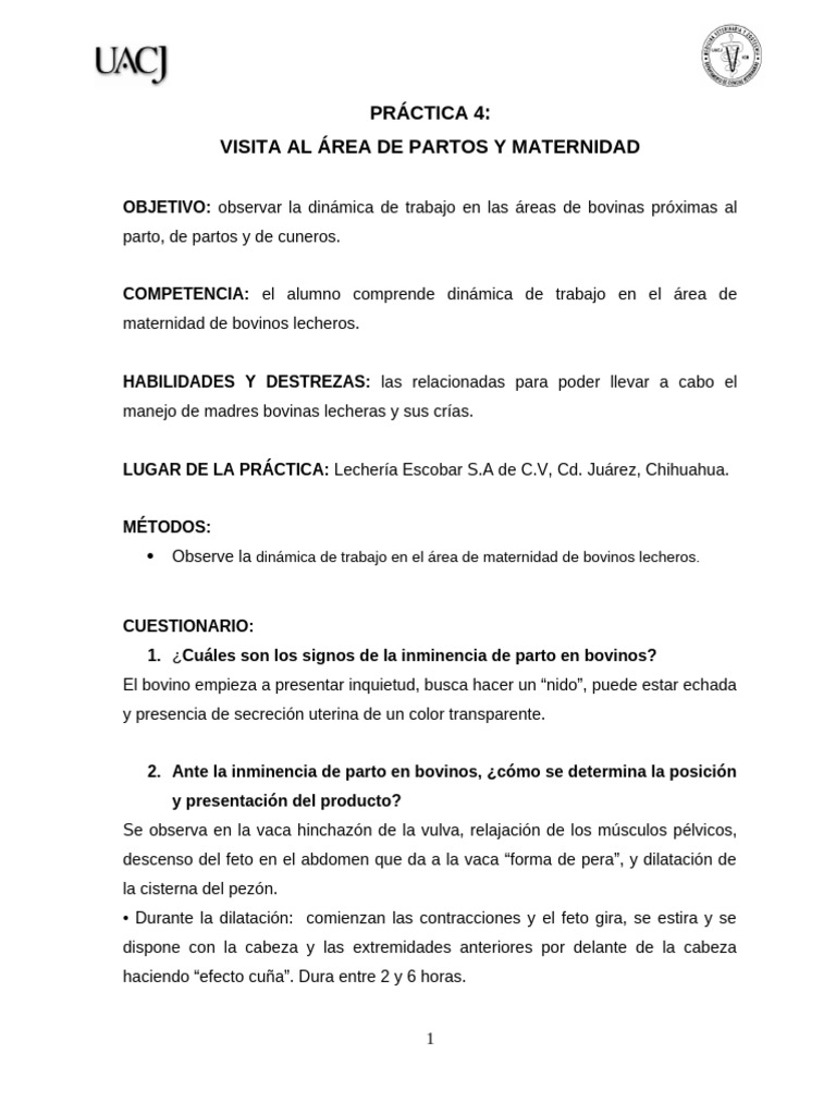 Pract4 Oct23 | PDF | Parto | Vacas