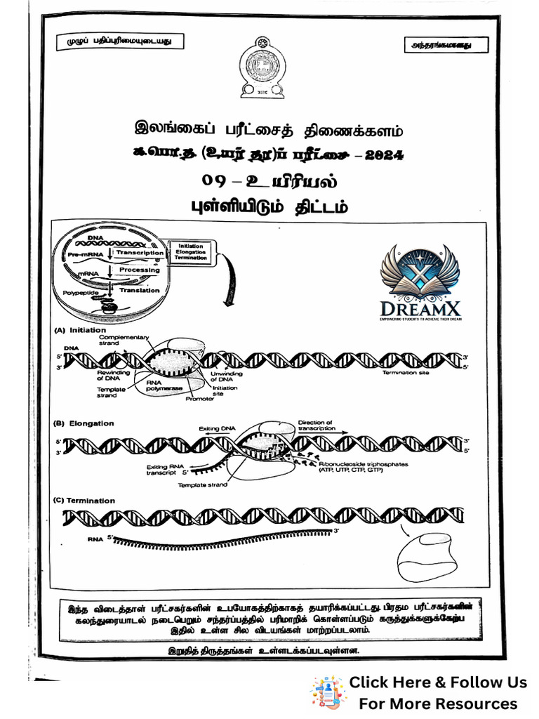 2024 Final Bio Draft Marking Scheme (TM) | PDF