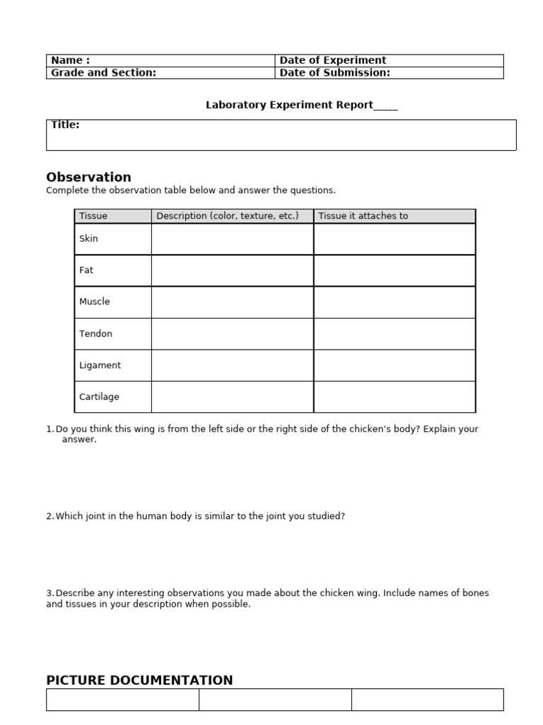 Lab Report Templates | PDF