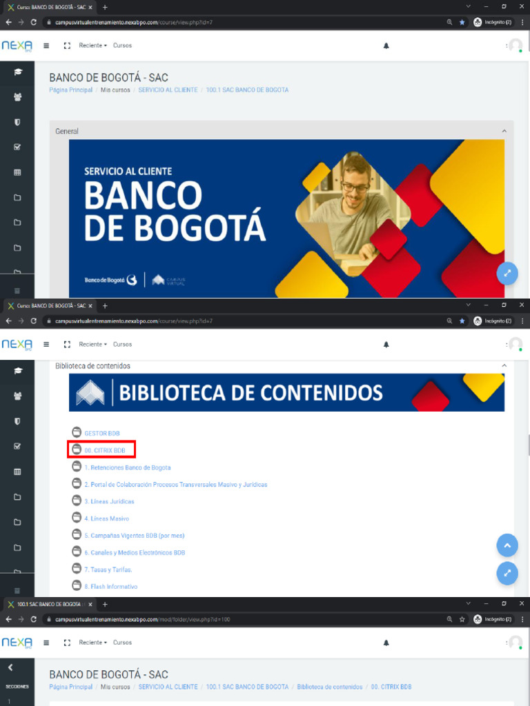 Instructivo Confirguración Citrix | PDF