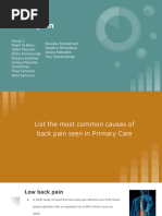 CORE Back Tool | PDF | Low Back Pain | Back Pain