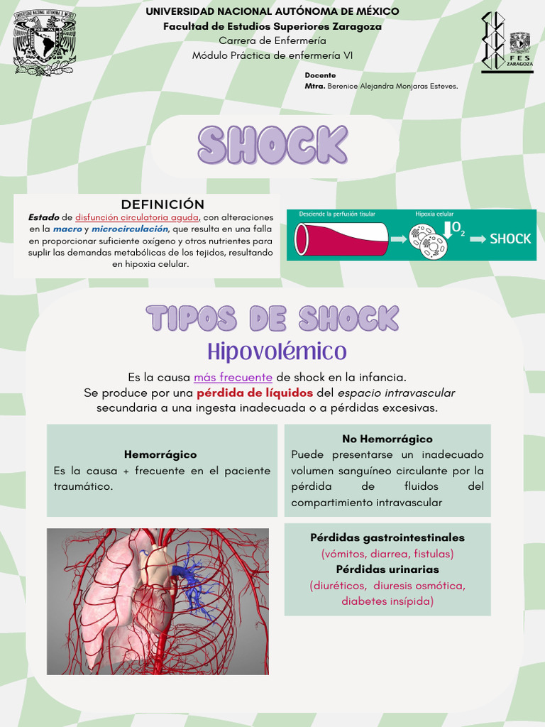 Tipos y Causas del Shock Clínico | PDF | Medicina | Emergencias Médicas