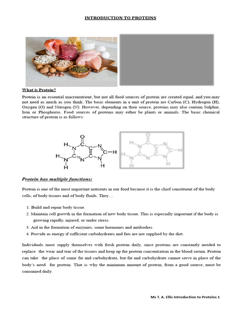 Introduction To Proteins - Food, Nutrition and Health Notes | PDF ...