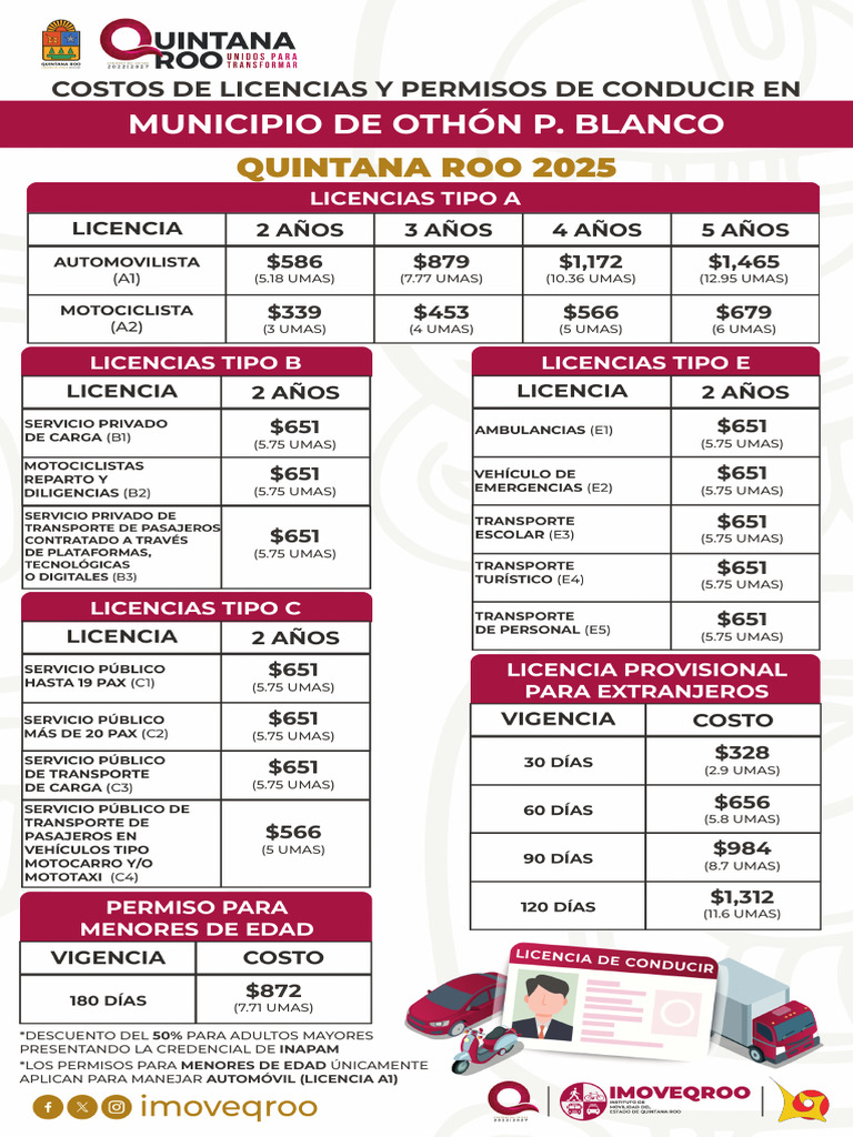 Costos Licencias 2025 08 Opb | PDF