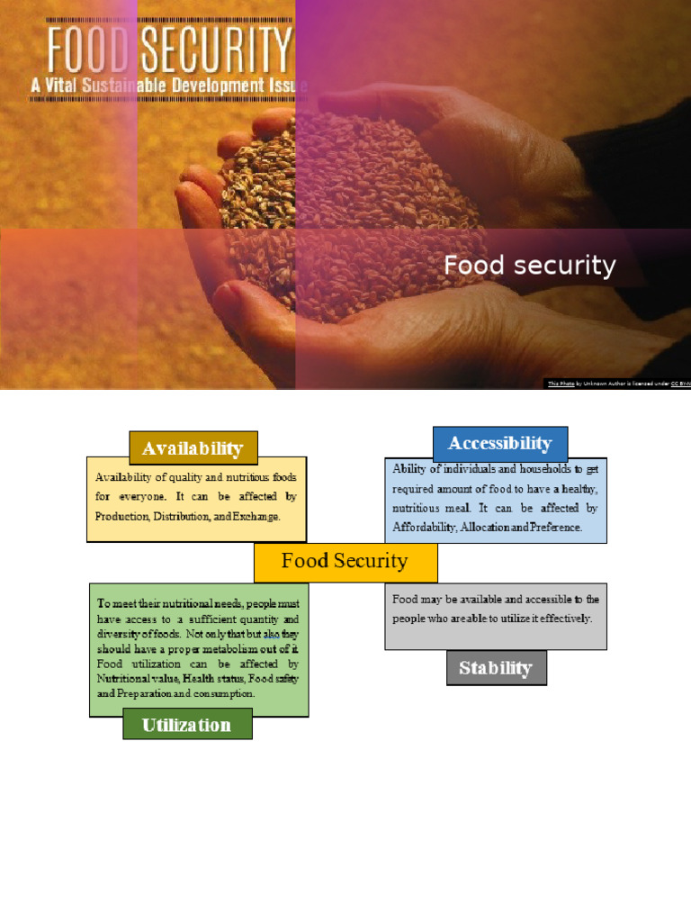 Food Security | PDF
