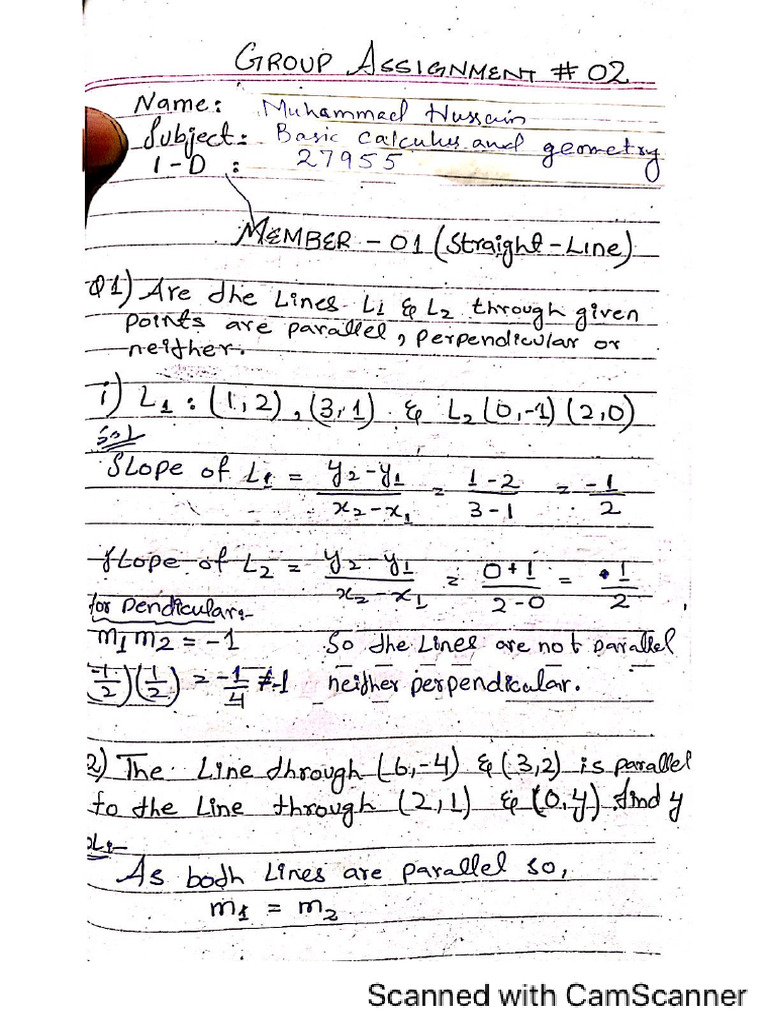Calculus Assignment #2 | PDF