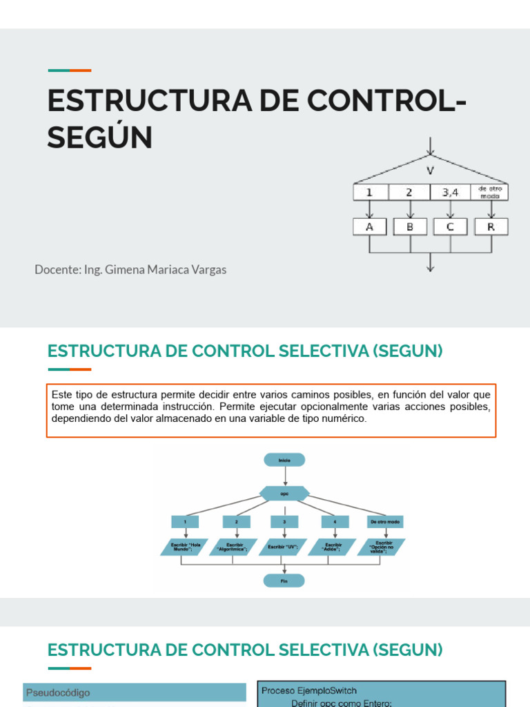 Estructura de Control - Según | PDF