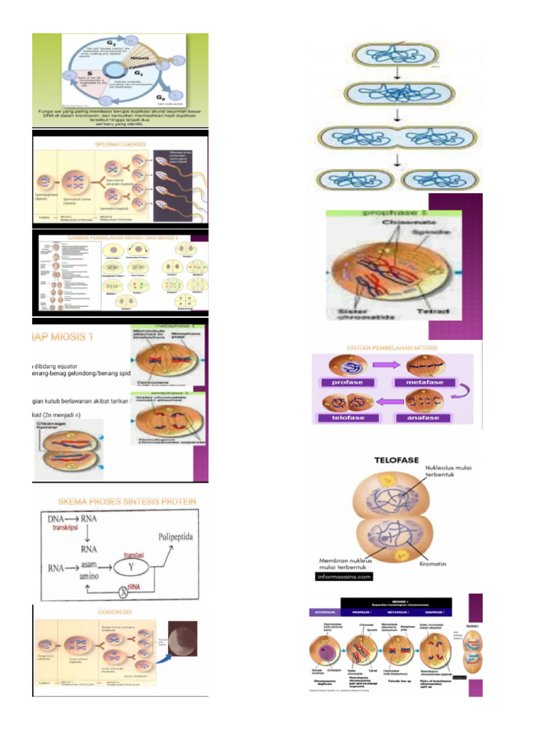Gambar Bio Terbaru | PDF