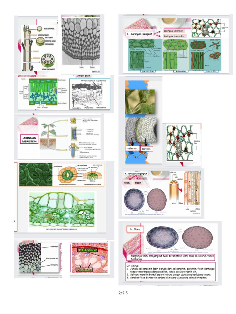 Gambar Oke | PDF