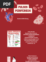 Ubicación del pulso cubital | PDF