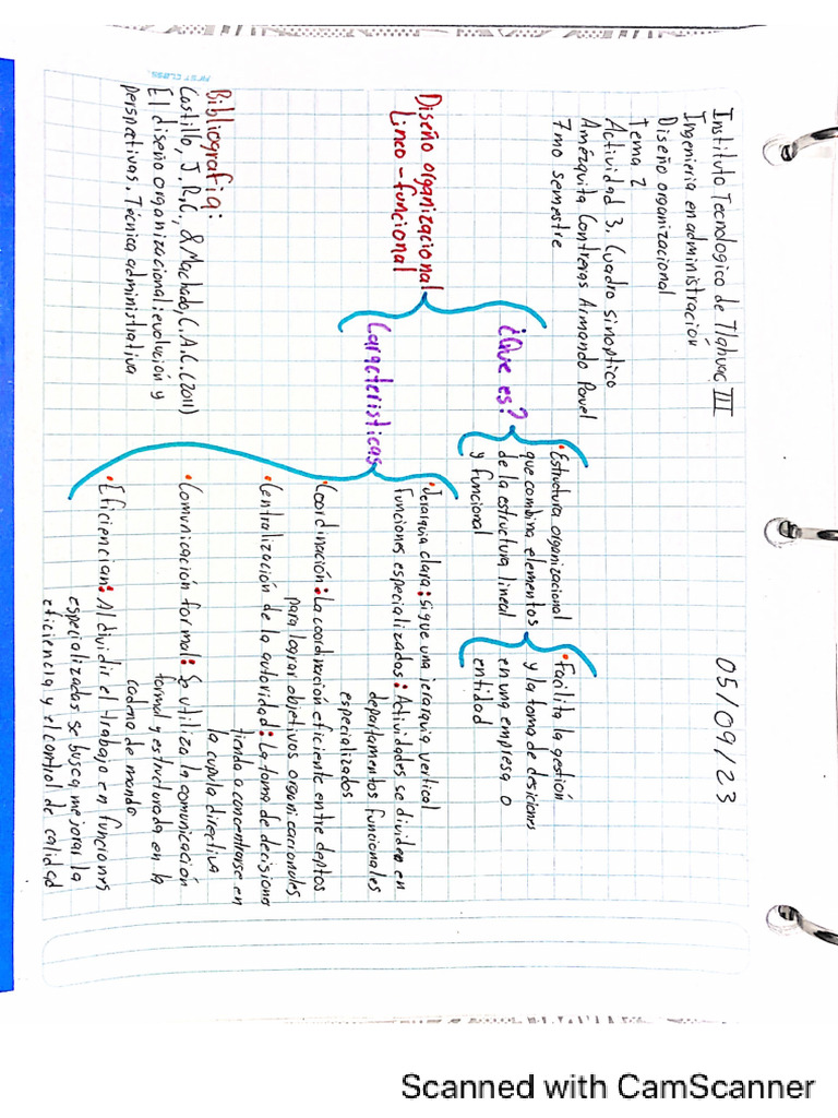 Actividad 3 Cuadro Sinoptico ACAP | PDF