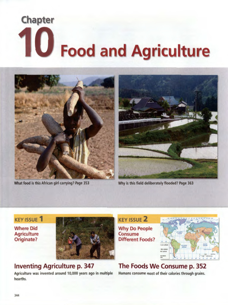 Origins and Diversity of Agriculture | PDF | Agriculture | Domestication