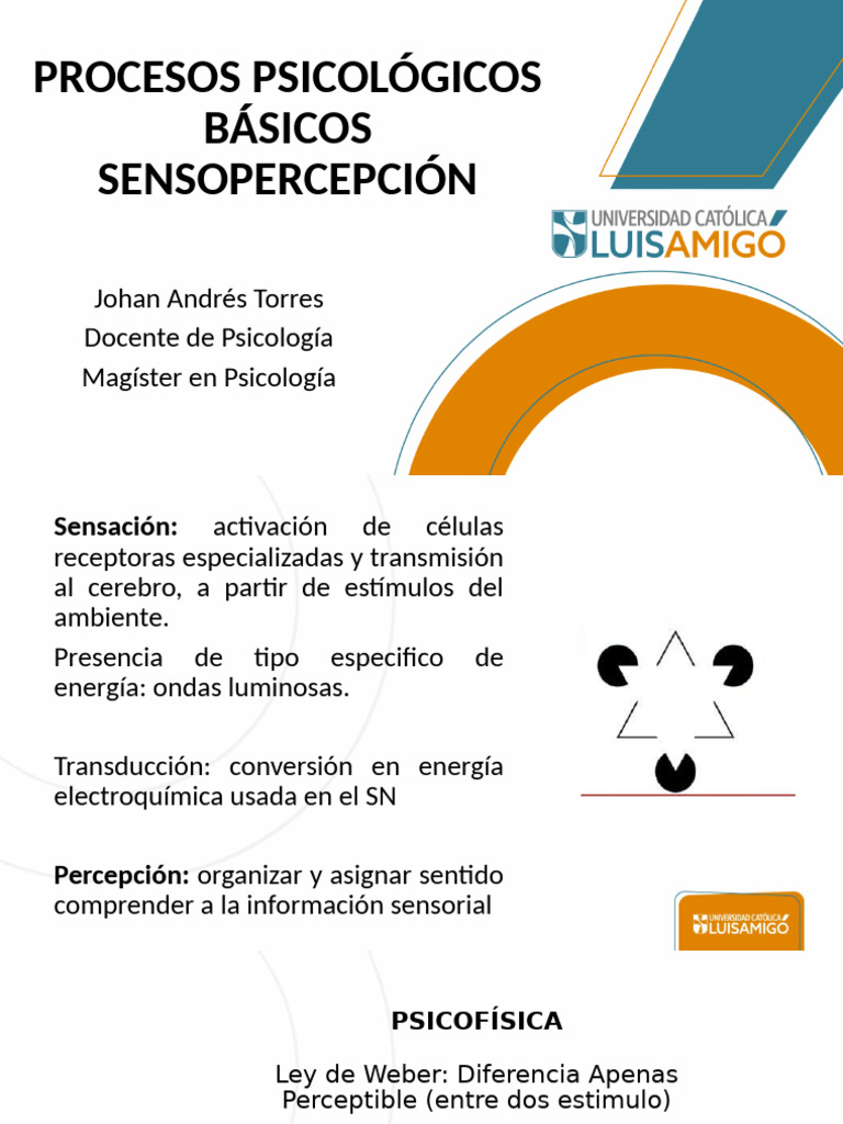 Senso Percepción | PDF | Escuchando