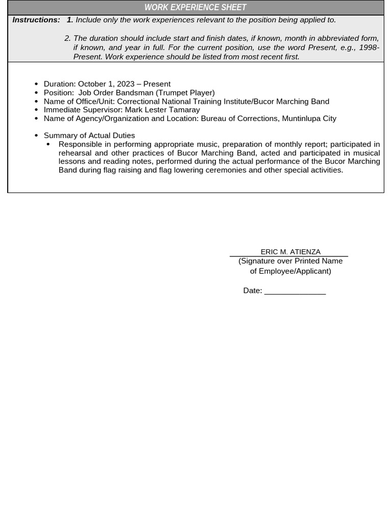 CS Form No. 212 Attachment - Work Experience Sheet | PDF