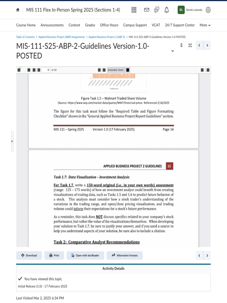 MIS-111-S25-ABP-2-Guidelines Version-1.0-POSTED - MIS 111 Flex In-Person Spring 2025 (Sections 1 ...