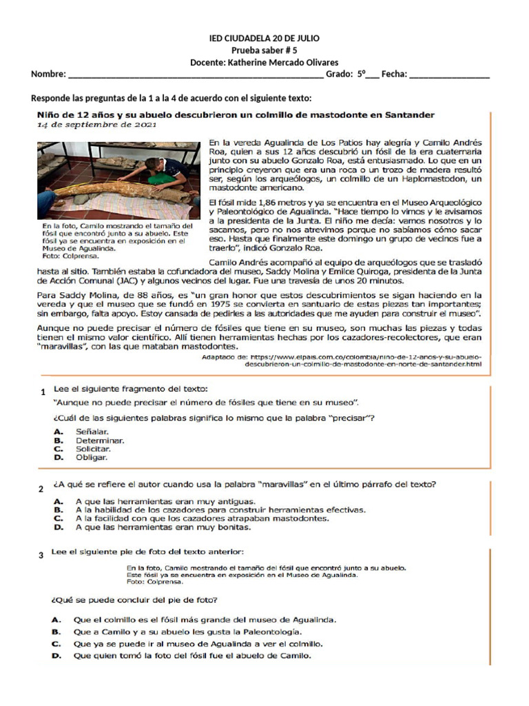 Prueba Saber # 5 | PDF