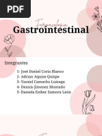 Medilaxan Granulado | PDF | Especialidades Medicas | Medicina CLINICA