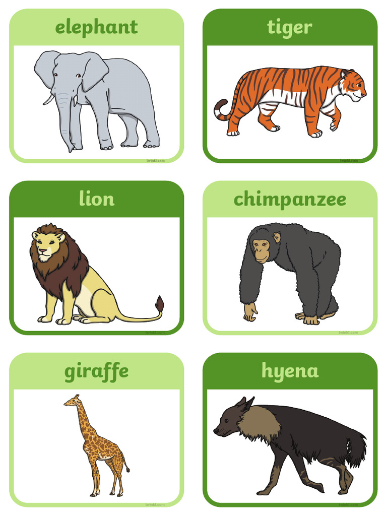 Animal Syllable Sorting Word Cards | PDF