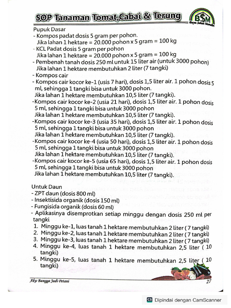 SOP Tanaman Cabai, Tomat, & Terung | PDF