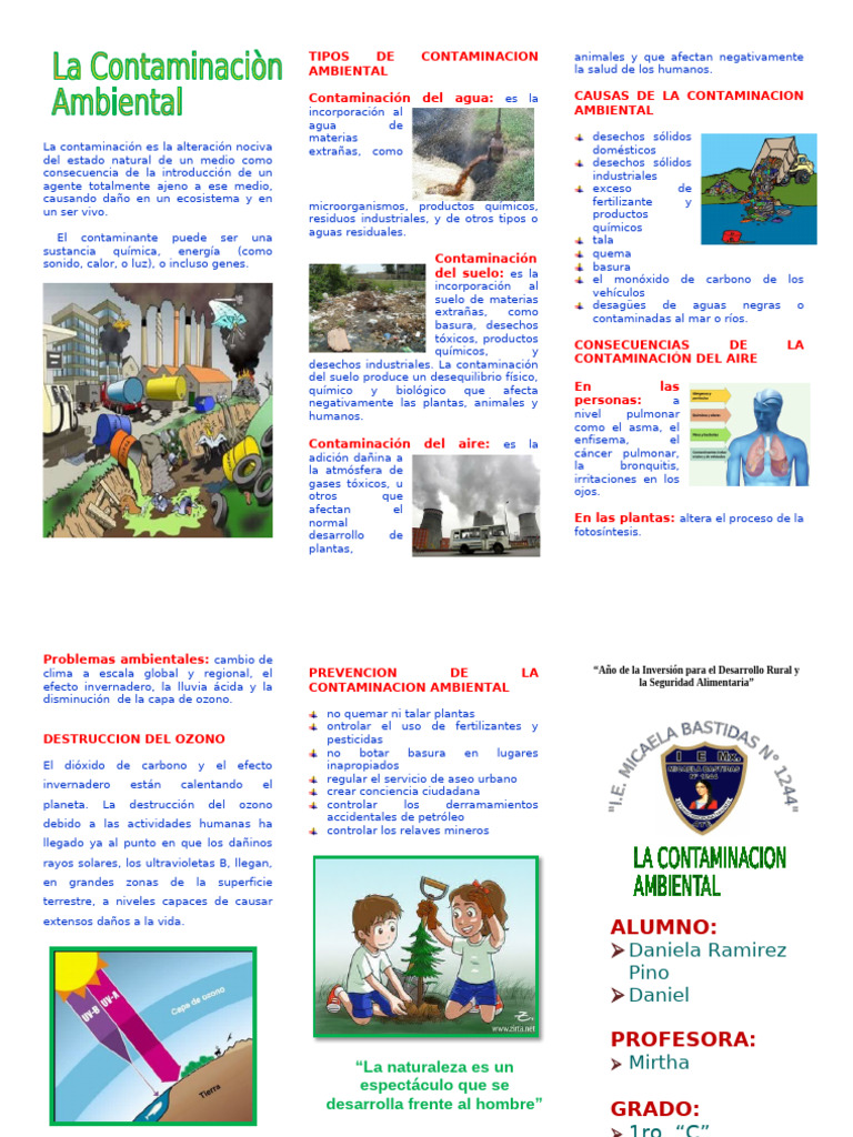 CONTAMINACION AMBIENTAL Triptico | PDF | Contaminación | Residuos