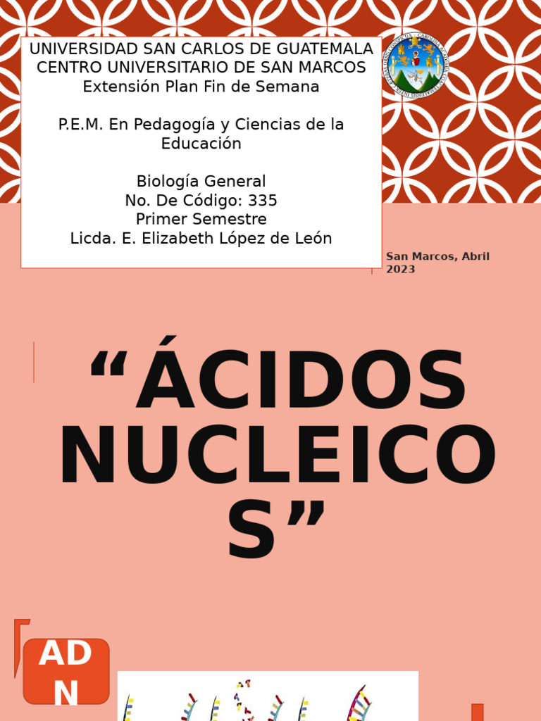 Arn y Adn | PDF | Adn | Ácidos nucleicos