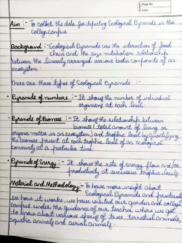 Evs Practical 1 | PDF