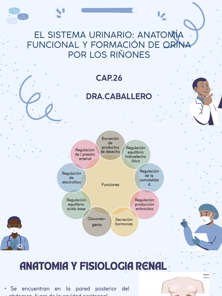 Renal Cap 26 | PDF