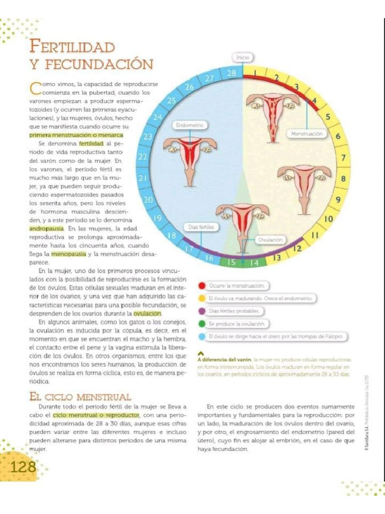 Fertilidad y Fecundación | PDF