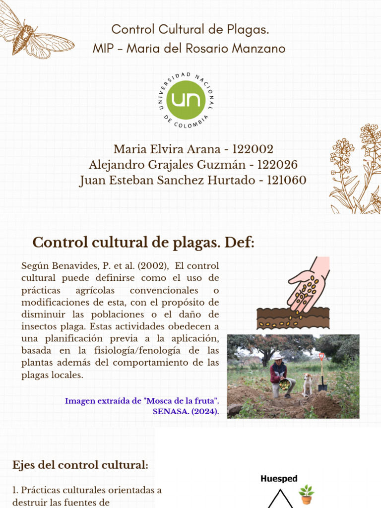 Control Cultural de Plagas en Agricultura | PDF | Plaga (organismo ...