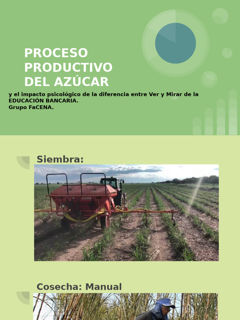 Proceso Productivo Del Azucar | PDF