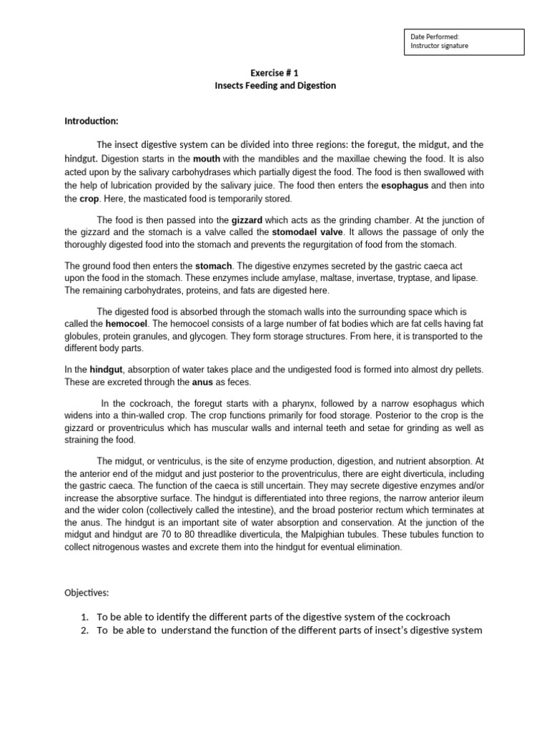 Agri 34 Laboratory exercise # 1 The digestive system | PDF | Digestion | Stomach