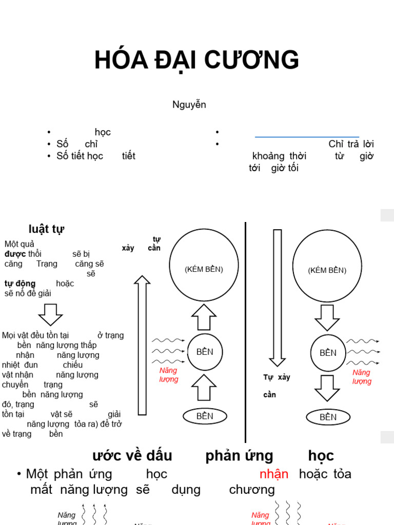 Chuong 1 Cau Tao NT Va Bang HTTH | PDF