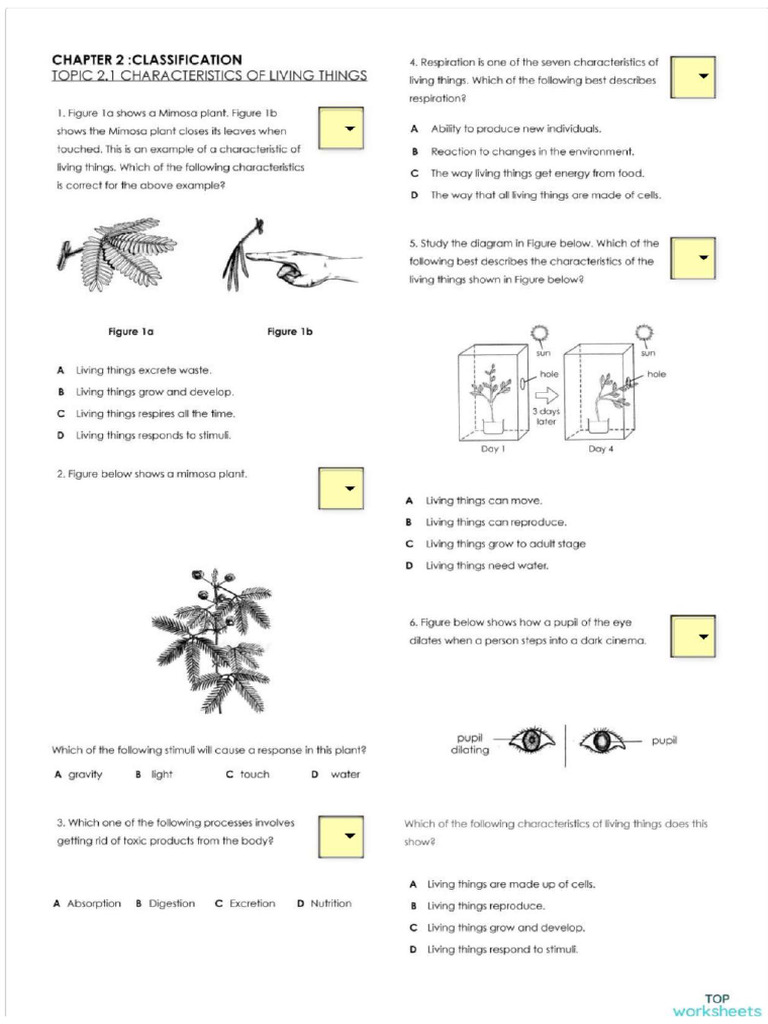 Year 8 Science | PDF