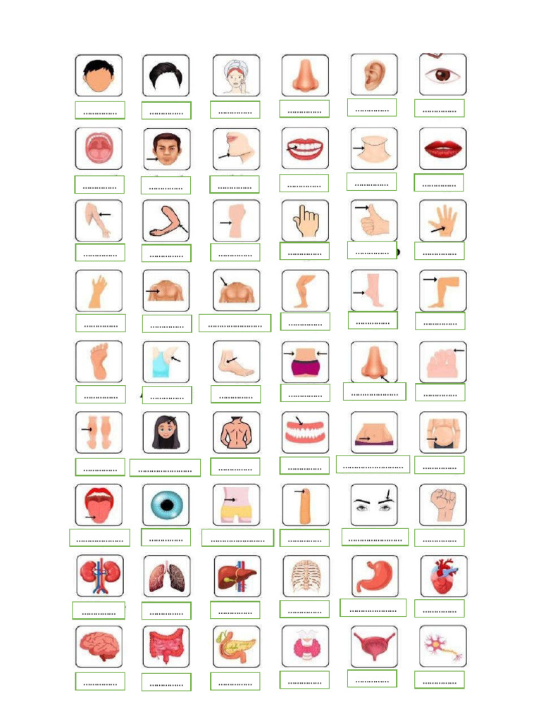 Worksheet - 2 Medical Nursing Equipment | PDF