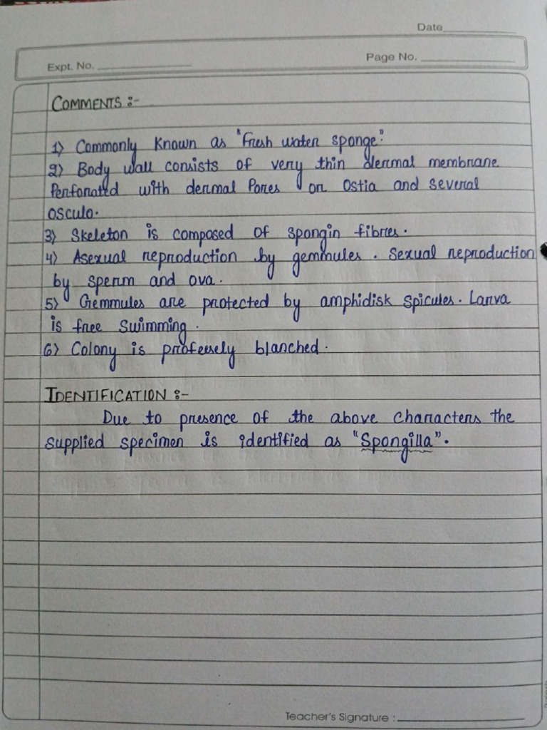 Zoology Practical | PDF