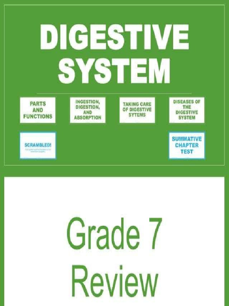 Quarter 4-Science 8-Digestive System | PDF | Digestion ...