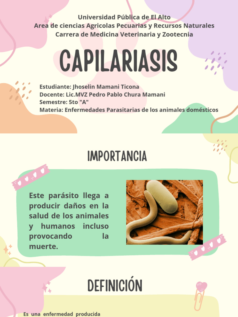 Capilariasis Enfermedades Parasitarias | PDF | Hígado | Parasitismo