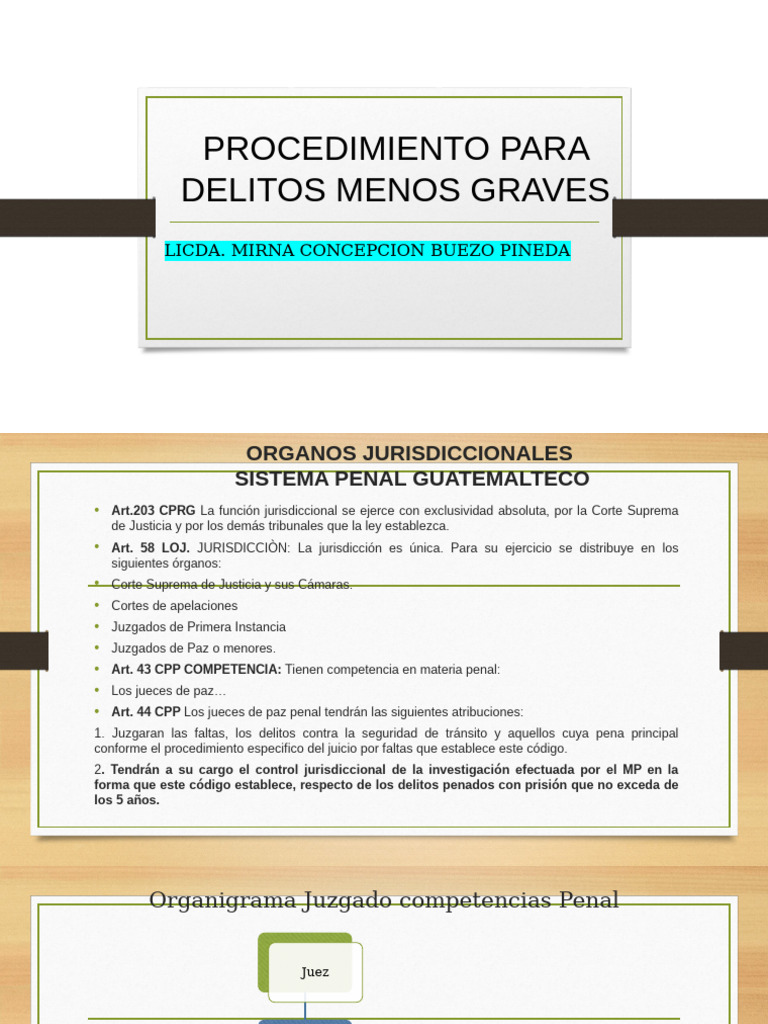 03-10-2022 Control Jurisdiccional y Flagrancia | PDF | Judicaturas | Derecho penal