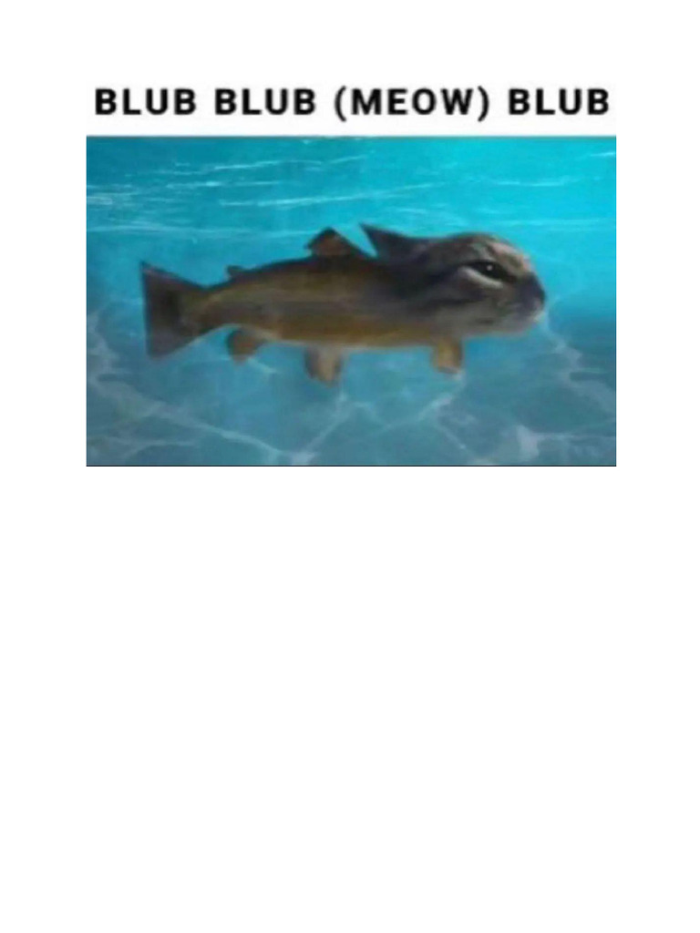 Catfish (Blub) | PDF