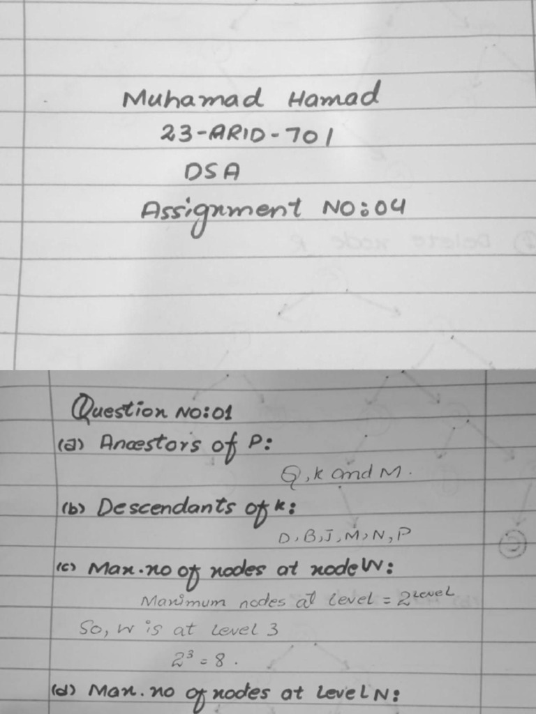 M-Hamad_assignment | PDF