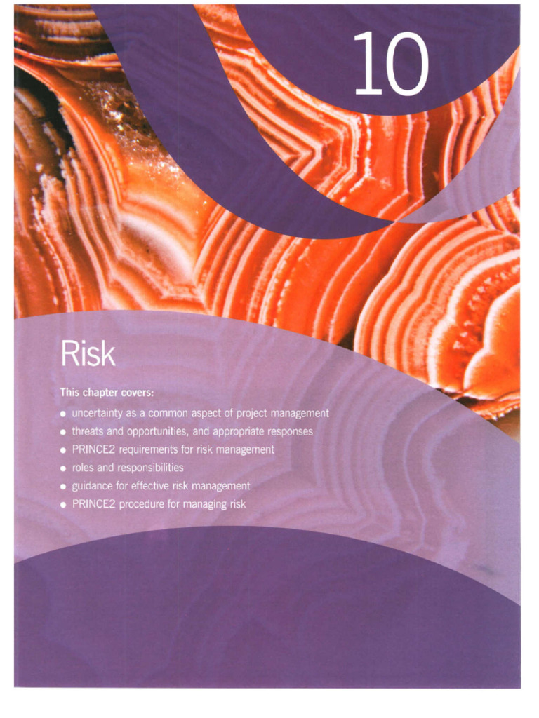 Chapter 10 - PRINCE2 Risk Theme | PDF