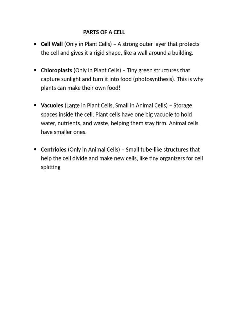 Key Parts of Plant and Animal Cells | PDF