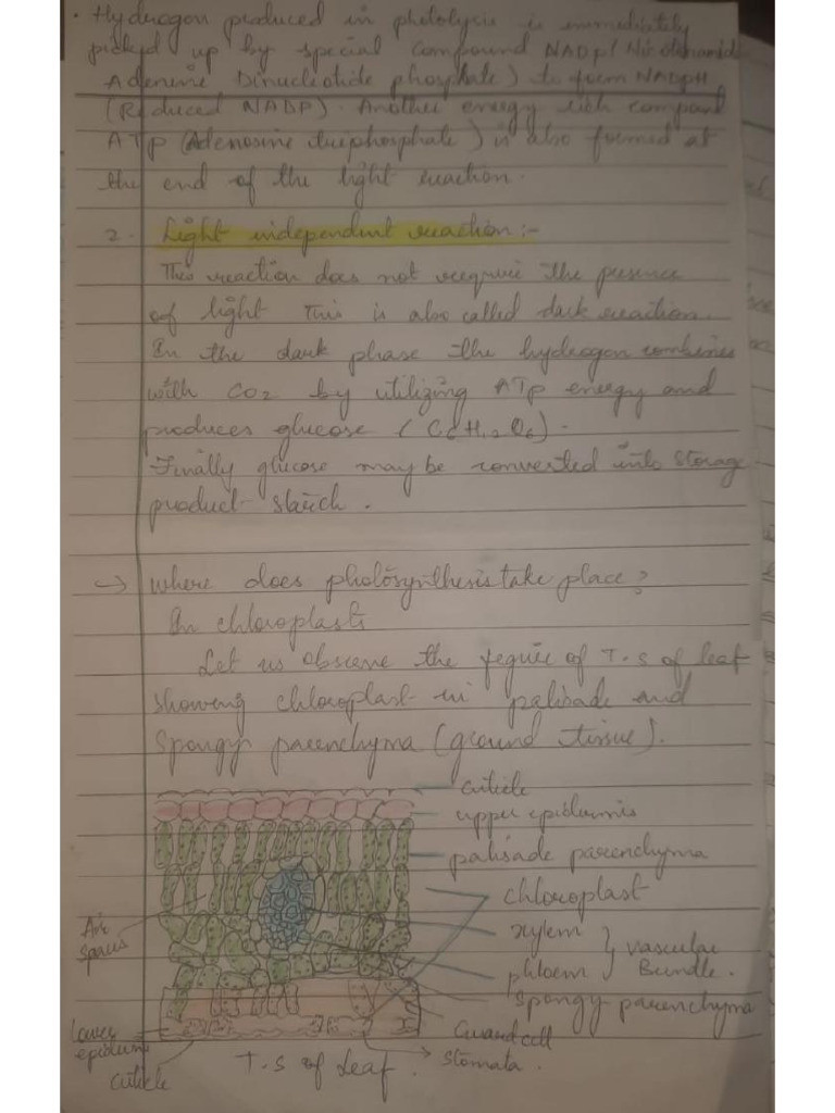 9th Class Notes by Miss You | PDF