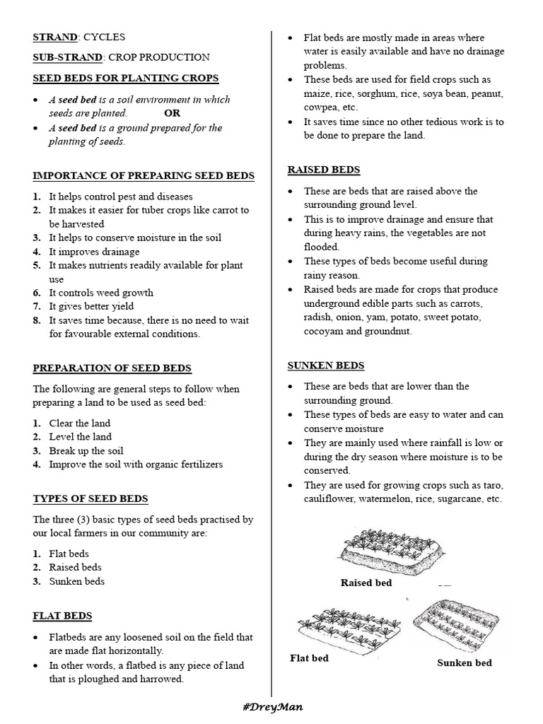 B8 Crop Production (Seed Bed) | PDF | Crops | Seed