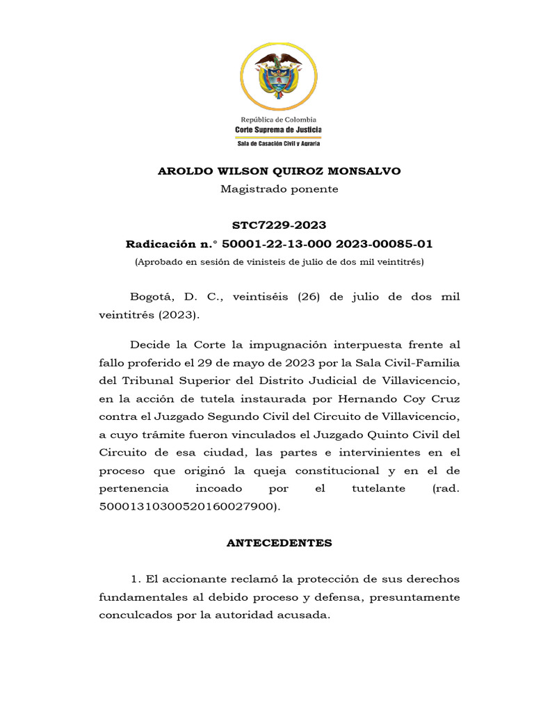 STC7229 2023 | PDF | Posesión adversa | Debido al proceso