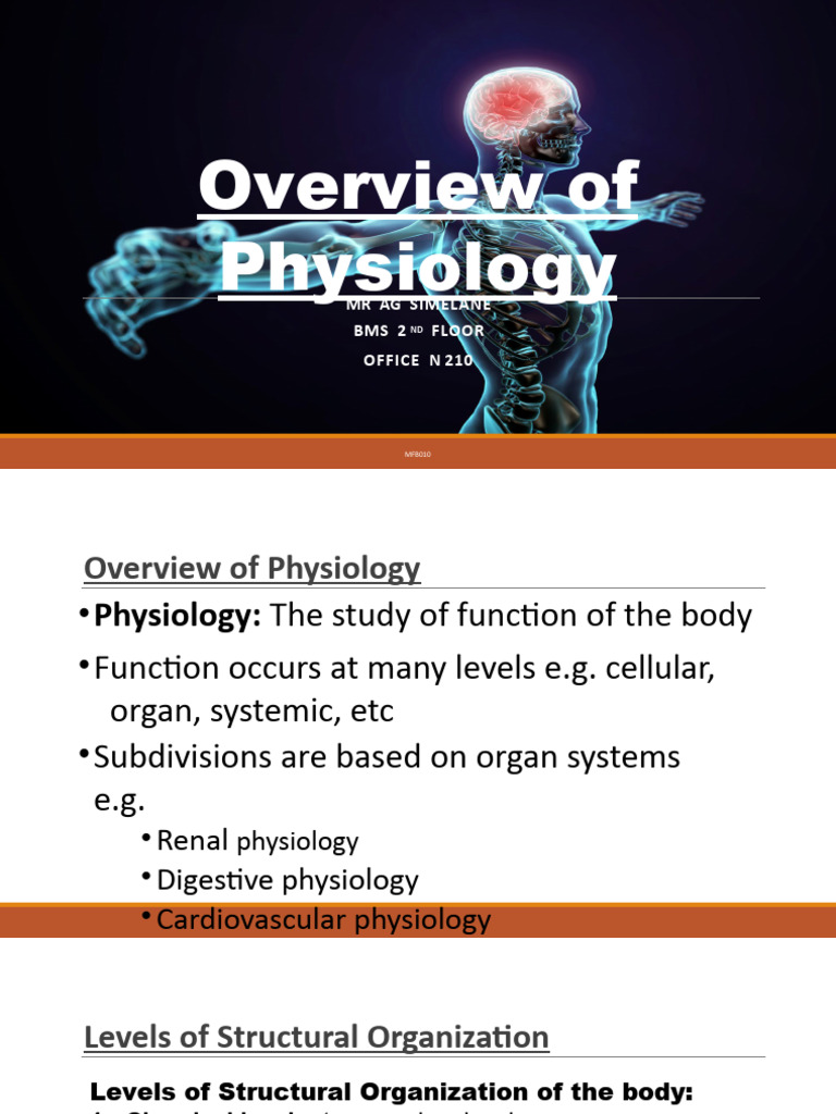 Overview of Human Physiology Basics | PDF | Human Body | Homeostasis