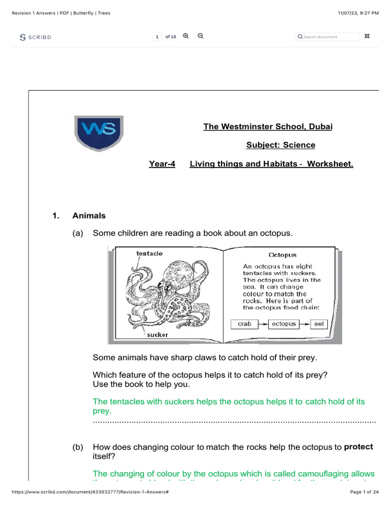 Scienceliving Things and Habitats | PDF | Scribd | Octopus